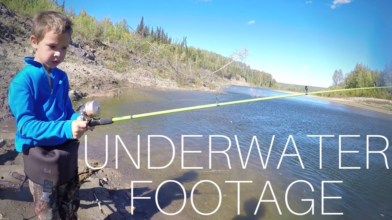 WALLEYE FISHING - Simonette River, Alberta - Underwater GOPRO Footage ...