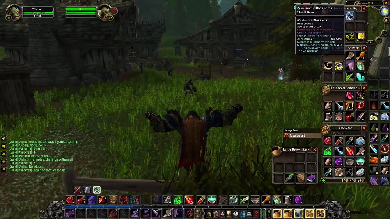 Wow Classic Hardcore Warrior Lvl 30 Questing Youtube