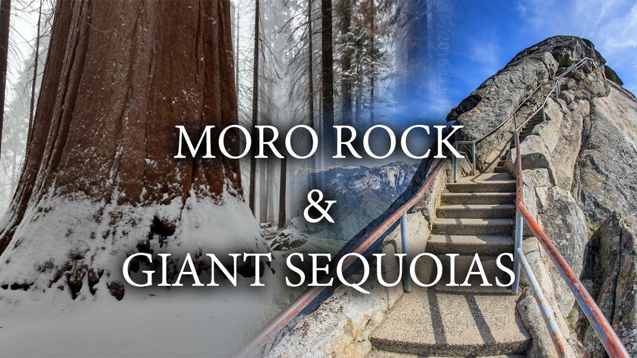 Hiking Moro Rock & The Giant Forest in the Winter - YouTube
