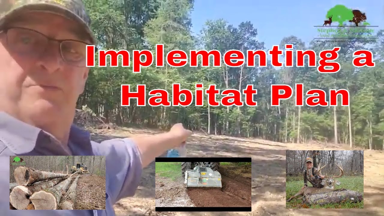 Implementing a Habitat/Deer Hunting Plan - YouTube