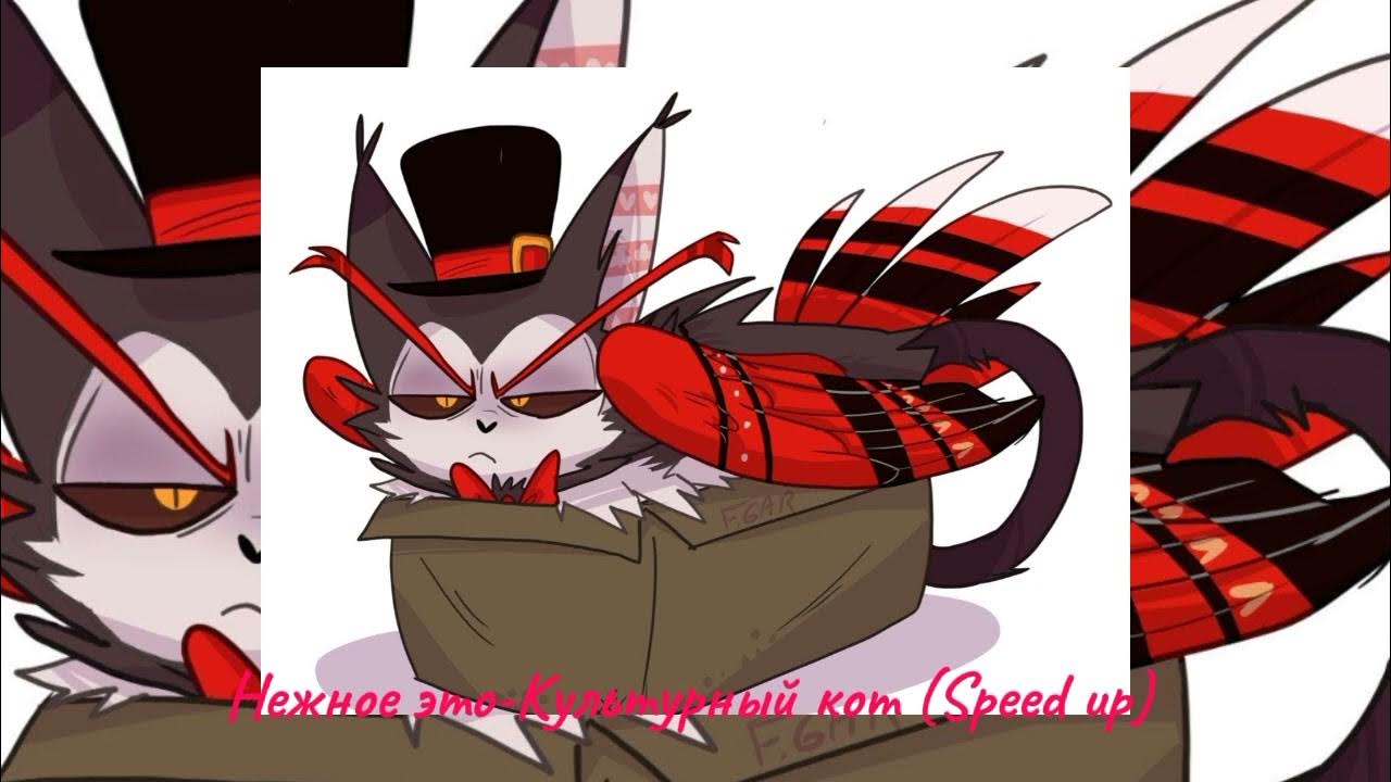 ~` Н̥е̥ж̥н̥о̥е̥ э̥т̥о̥ К̥у̥л̥ь̥т̥у̥р̥н̥ы̥й̥ к̥о̥т̥ `~{ⓢⓟⓔⓔⓓ ⓤⓟ} Youtube