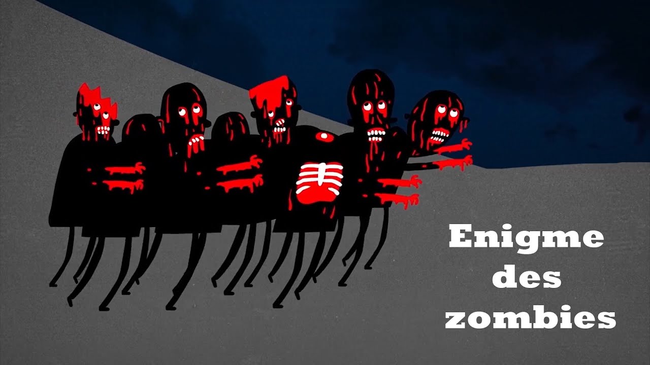Semaine des maths 2020 : Énigme des zombies - YouTube