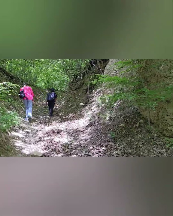 თბილისის ეროვნული პარკი სრული ვიდეო არხზე ლაშქრობა ბუნება