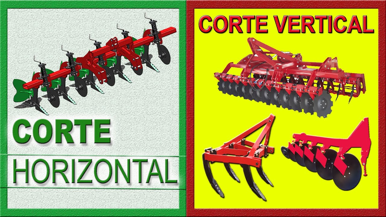 CORTE HORIZONTAL 🆚 CORTE VERTICAL - YouTube