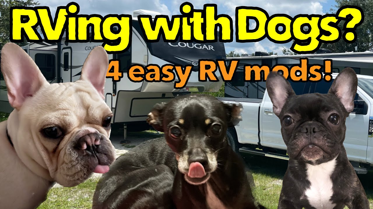 4 easy mods EVERY RV with Dogs should have! - YouTube