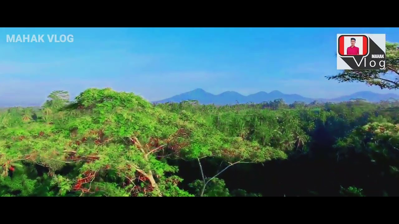 junglee scene block video - YouTube