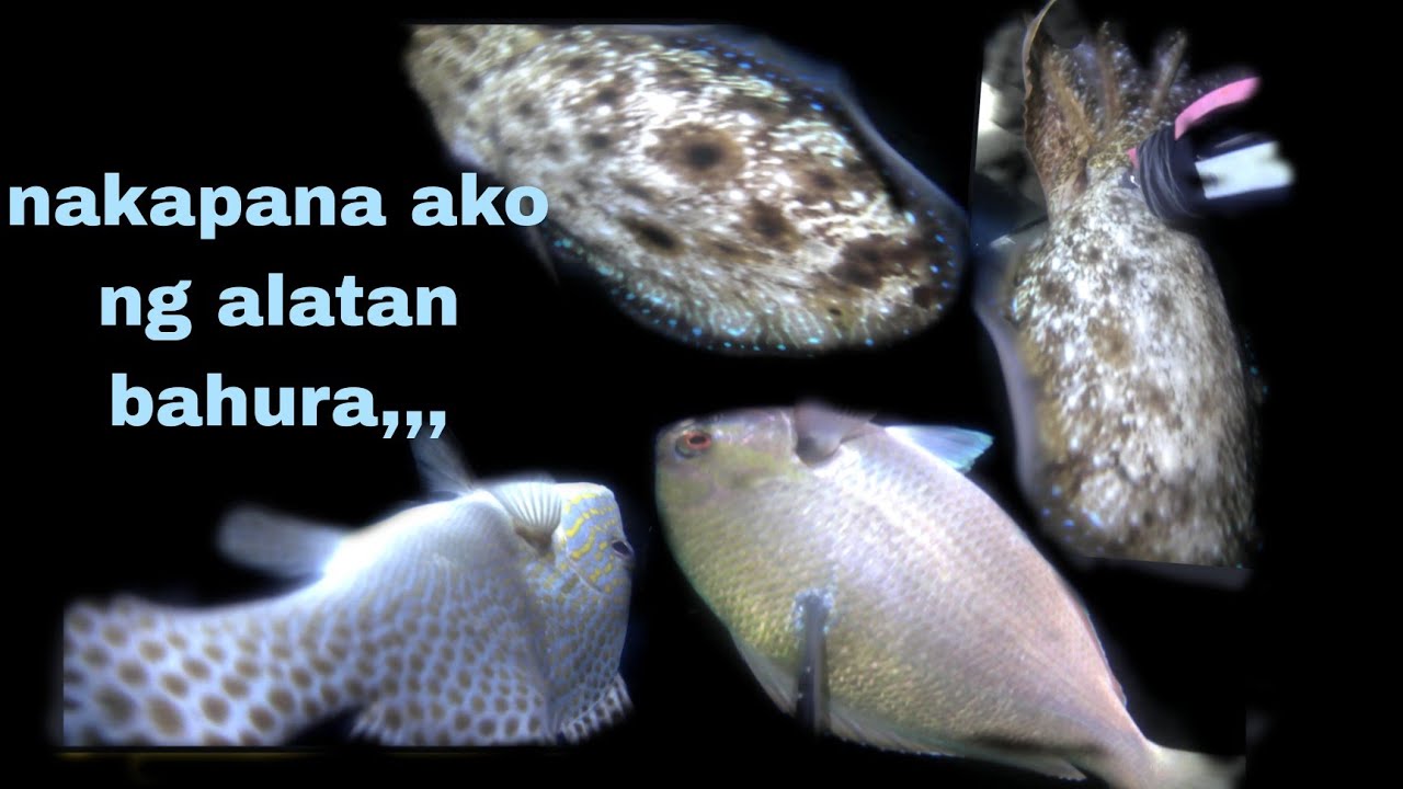 EP42, NIGHT SPEARFISHING NAKAPANA AKO NG ALATAN BAHURA,, - YouTube