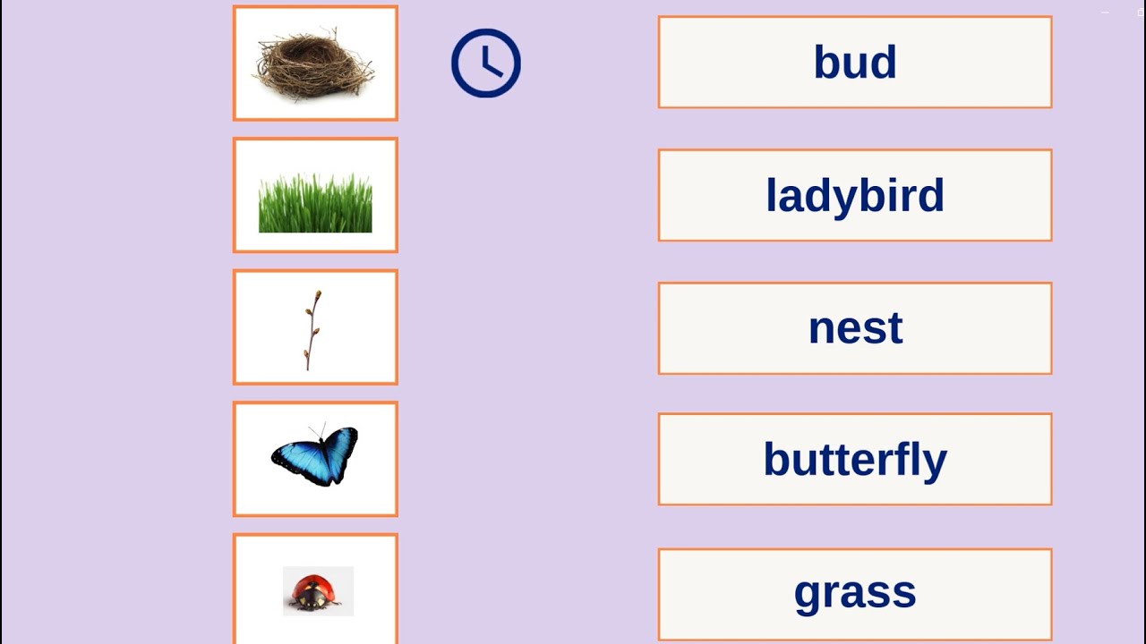 Spring Games | Learn English - YouTube