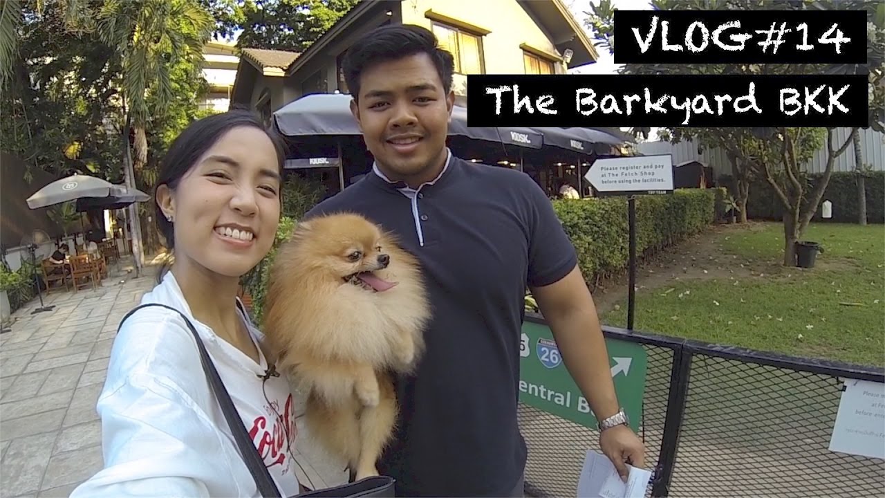 The Barkyard BKK - The perfect Dog's Playground in Bangkok | Nampetch the Nerd - YouTube