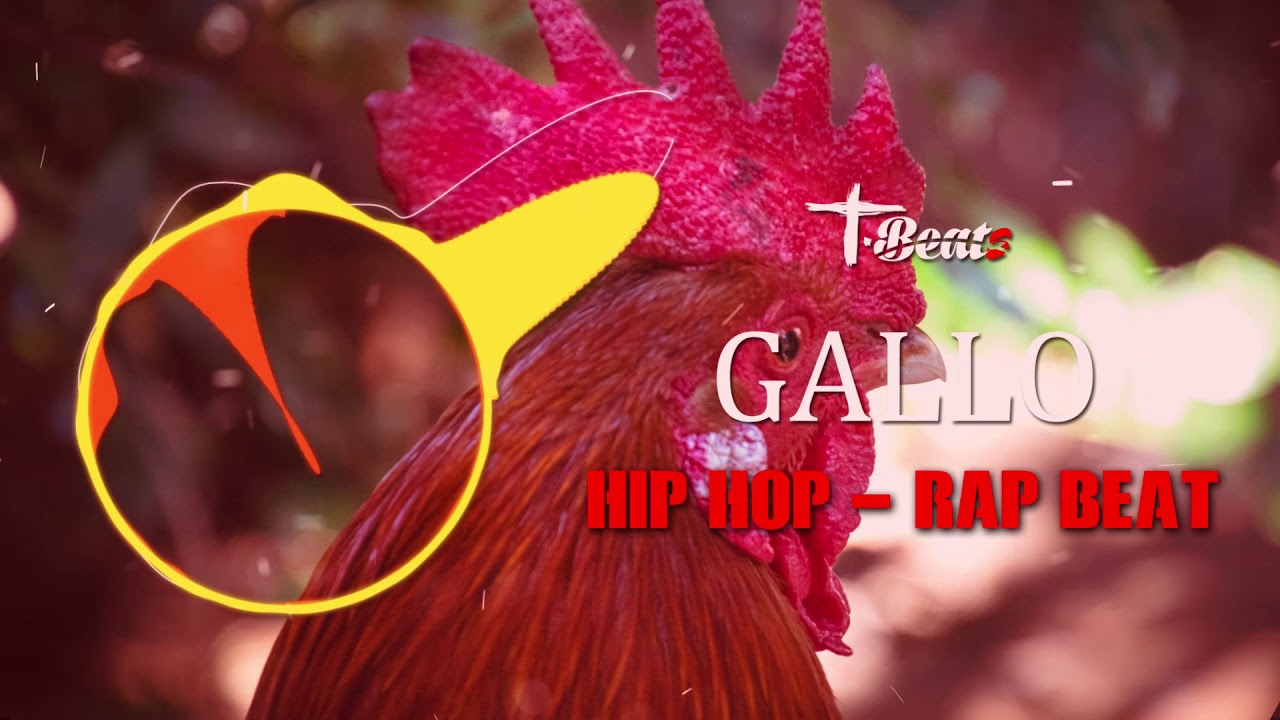 GALLO - RAP - Hip Hop - BEAT #rap #hiphop #beat #instrumental (Prod: T ...
