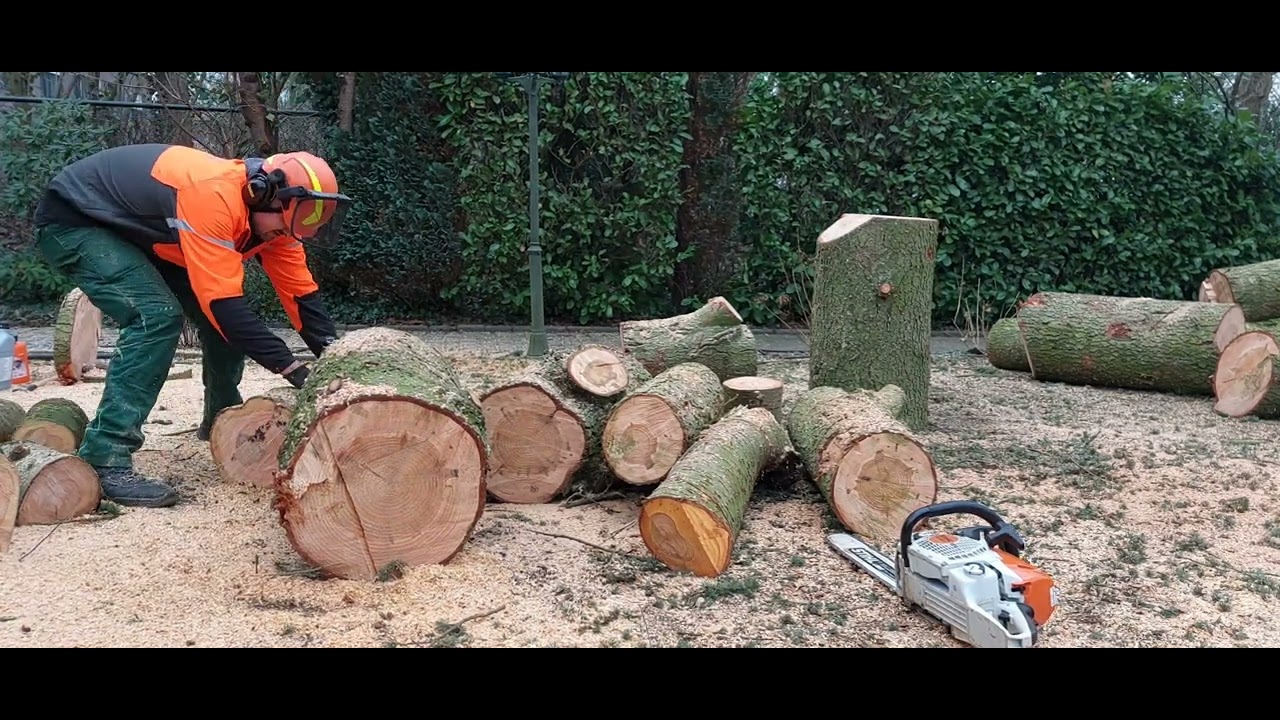 Stihl MS 462C-M a professional chainsaw - YouTube