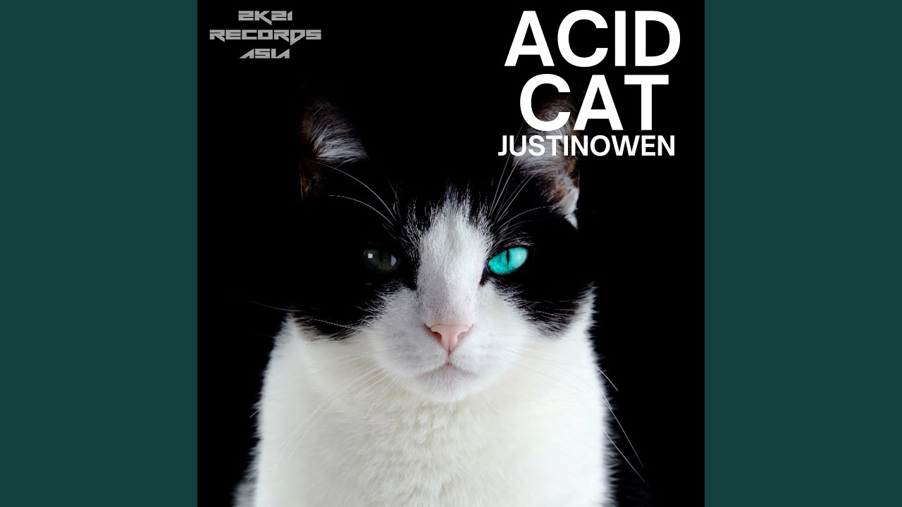Acid Cat - YouTube