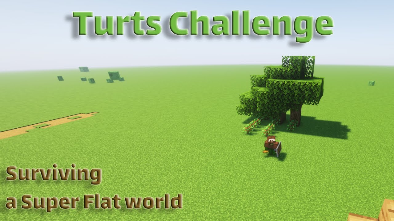Turts Challenge: the Beginning - YouTube