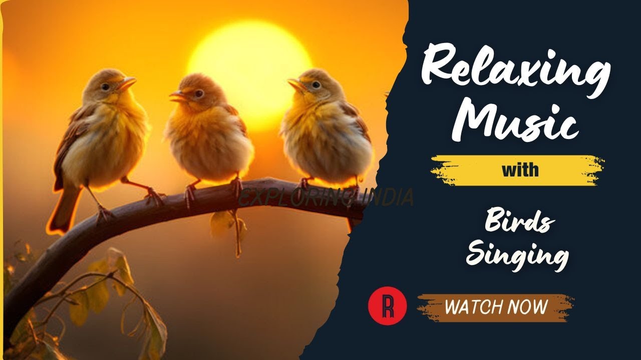 No Copyright -Beautiful Relaxing Music with Birds Singing - YouTube