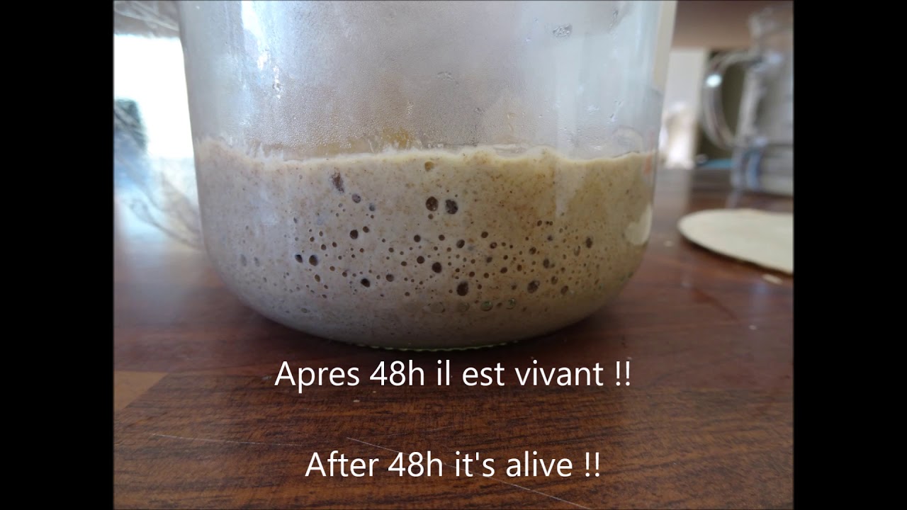 Faire son levain dur / Make your sourdough. - YouTube