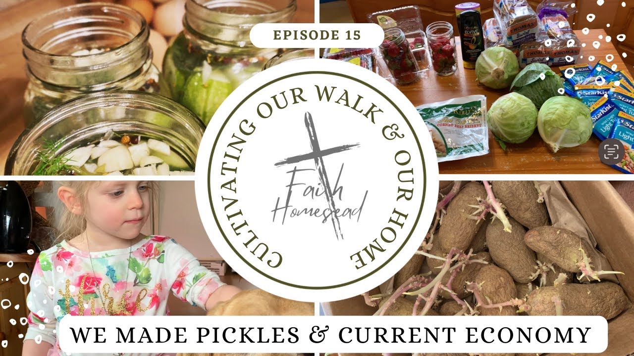 We Made Pickles & Current Economy (pickle making video inside!) # ...