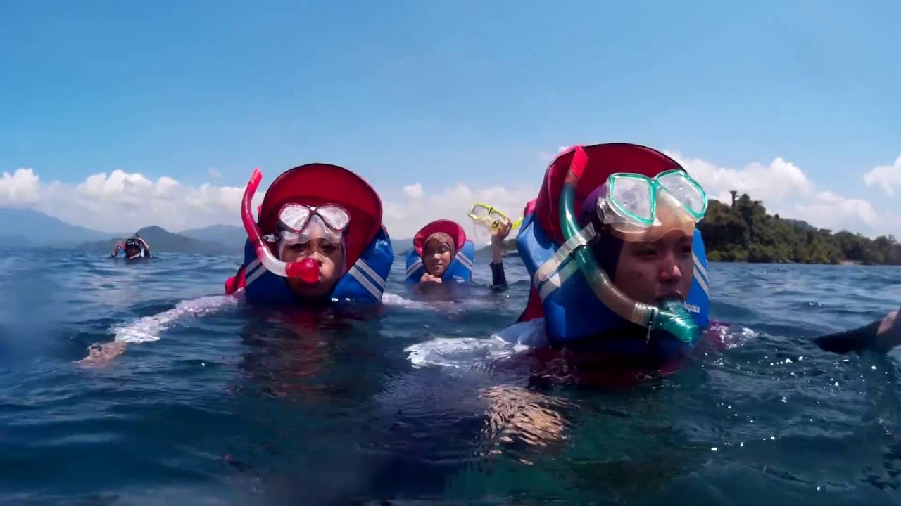 JejakTraveler - Dolphin Teluk Kiluan Lampung - YouTube