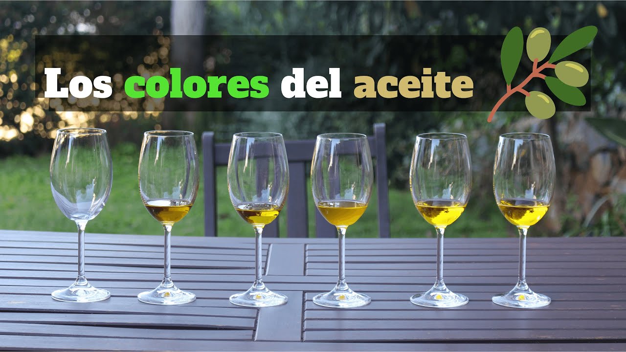 Consejos de cata: Descubre LOS COLORES DEL ACEITE 💚 - YouTube