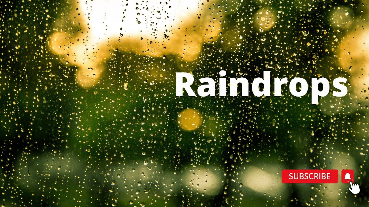 Raindrops will restore inner balance and mood! - YouTube