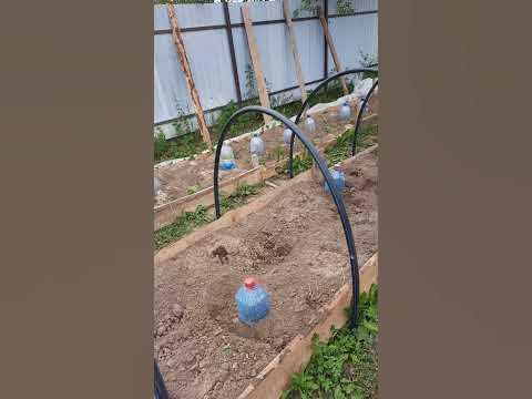Быстрый парник своими руками - YouTube