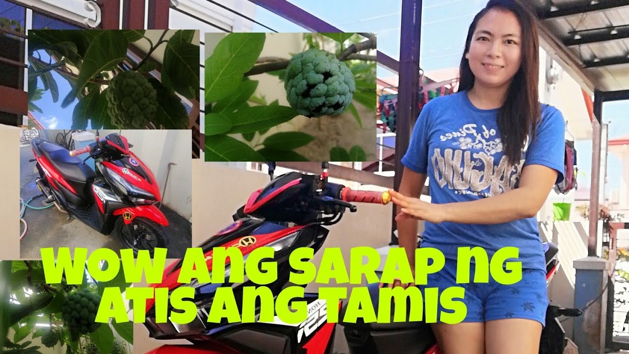 AMY KATORSE VLOG #61 ANG SARAP NG ATIS ANG TAMIS NG BUNGA. NAG WAX AKO NG MUTOR. - YouTube