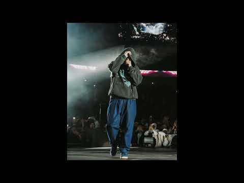 ASL WAYNE Xuliganistan NEW TREC