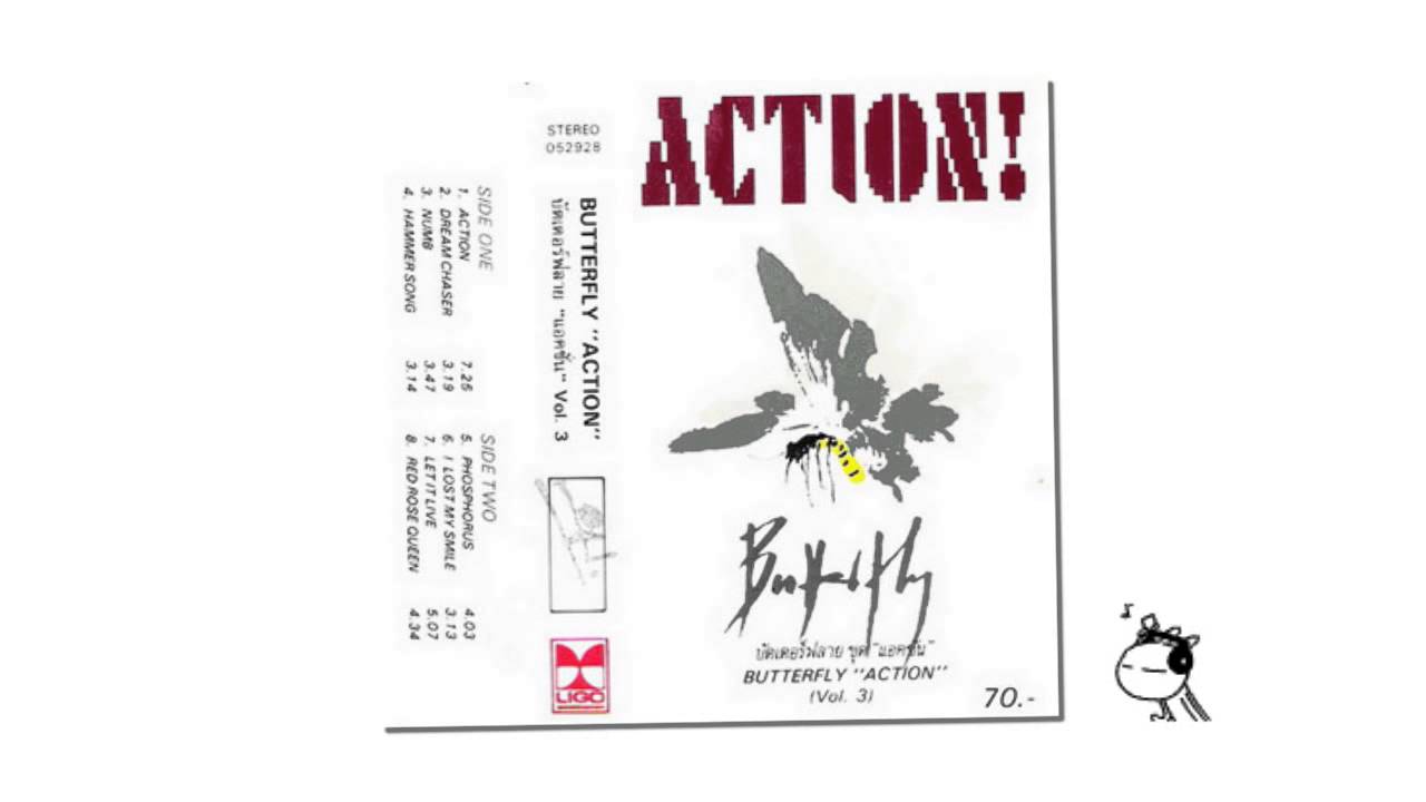 Butterfly - Action - YouTube