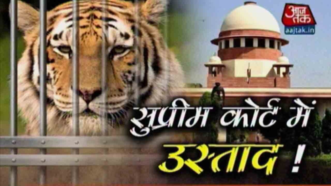 Vardaat: SC Sends Ranthambore's 'Man-eater' Tiger Ustad (T24) In ...