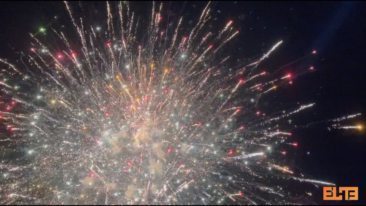 Black Mamba Canister Shell is CRAZY! | Fireworks Showcase! - YouTube