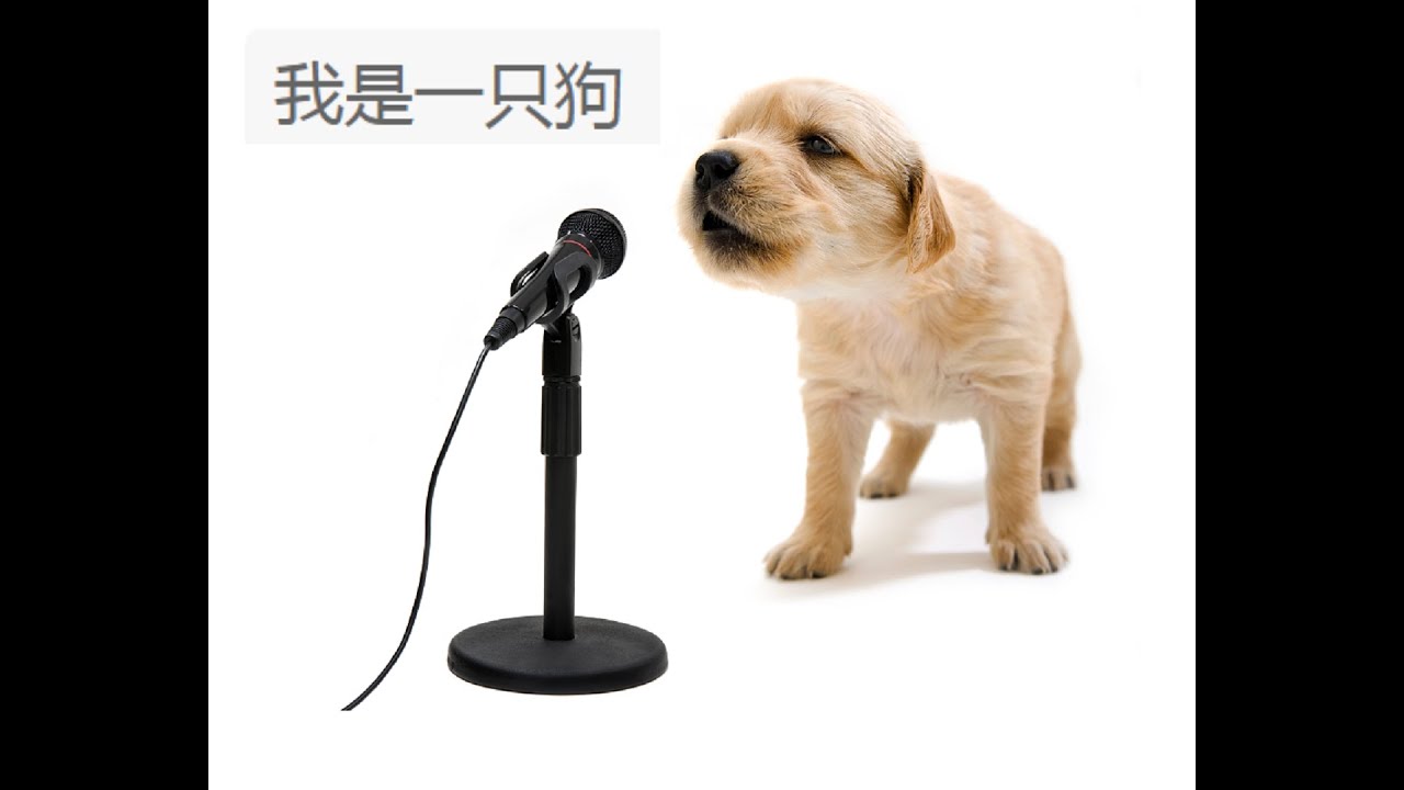 Steve Whitacre - Say To Me - YouTube