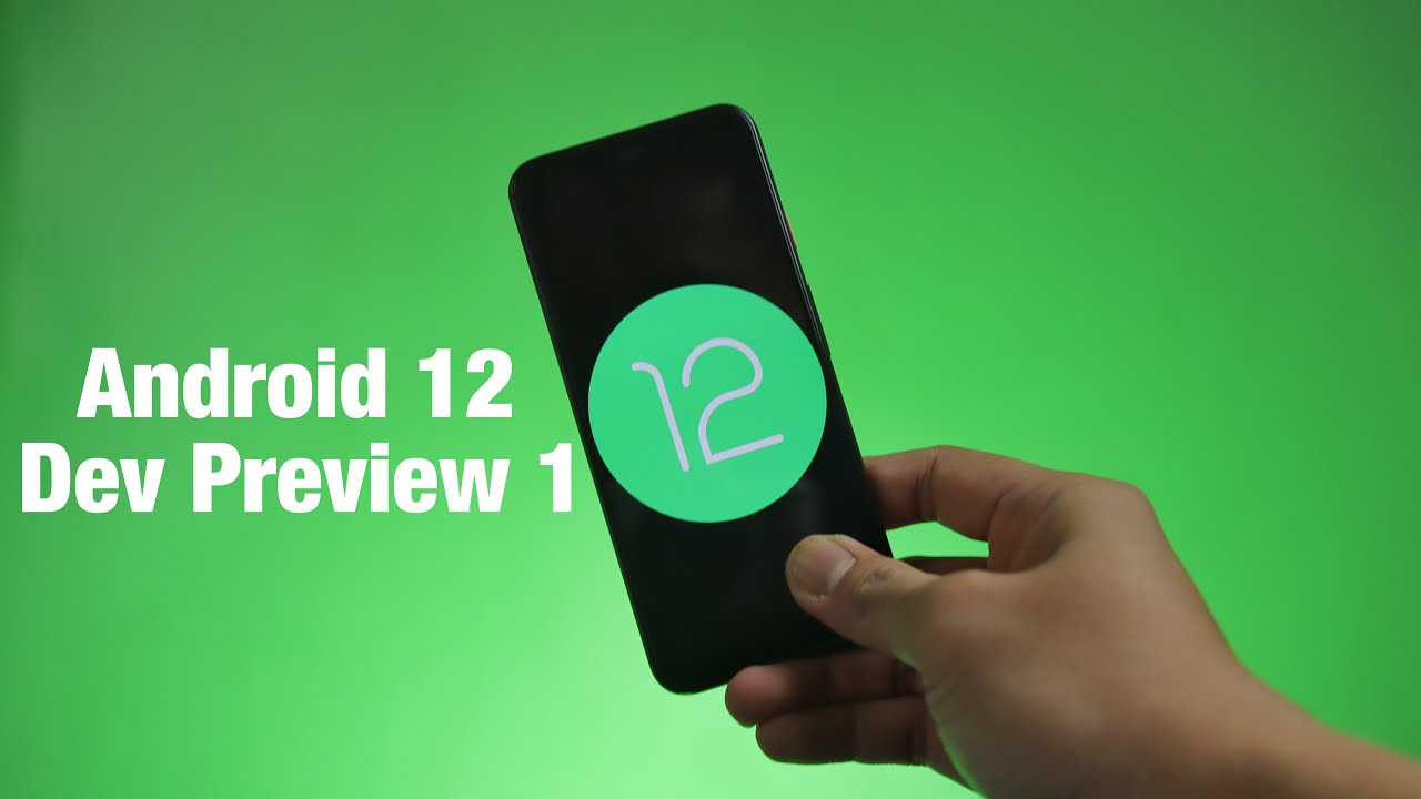 Begini Tampilan Pertama Android 12 Developer Preview 1 di Google Pixel ...