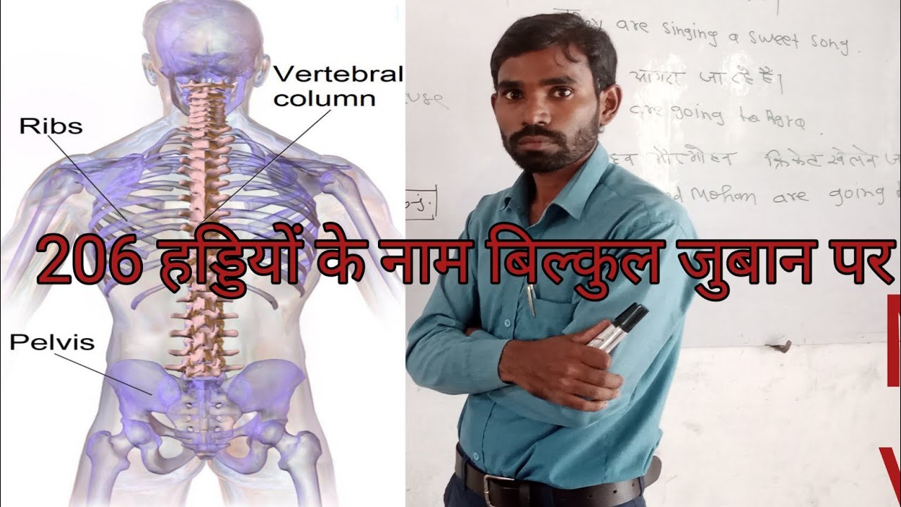 Human skeleton manav kankal###science ##by RJ SIR#myfirstvlogviral ...