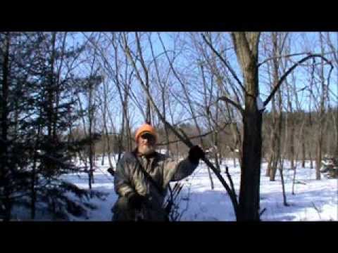 Rabbit Hunt With Crossbow Dec 30, 2012 - YouTube
