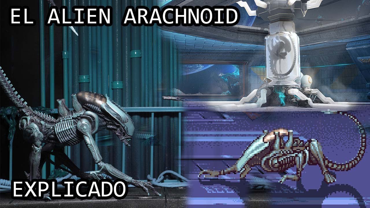 El Alien Arachnoid o Xenomorfo Arachnoid EXPLICADO - YouTube