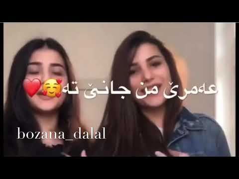 خوشترين ستران كوردي 💔🖤👋 Ishtrak  bozana_dalal ⭐ #kurdishsinger #da_karkeyn #boza #bozani #bozan🎧