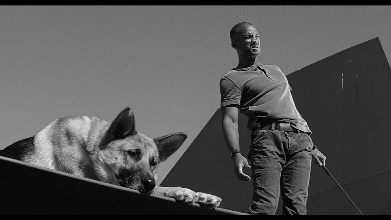 I Am Legend (2007) - Will Smith - you are not alone - YouTube