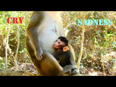 SADNESS WITH SOFT CRYING EMOTIONAL...WHAT HAPPENED TO ANISSA? WHY CRY ...