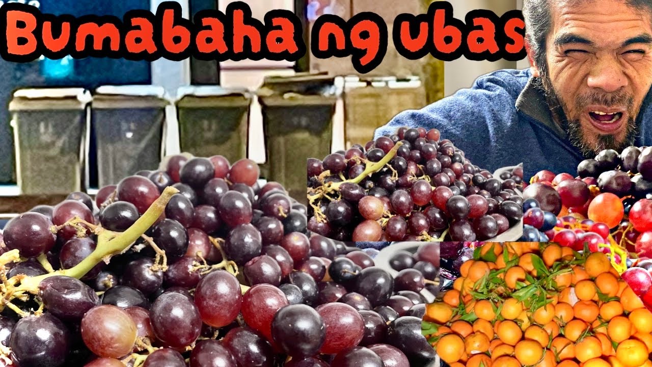 Dumpster Diving | Bumabaha ng ubas grabeh - YouTube