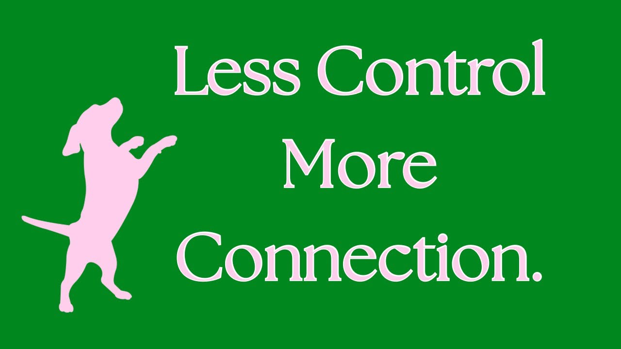 The Truth About Dog Control: Safety Isn’t the Same as Micromanaging ...