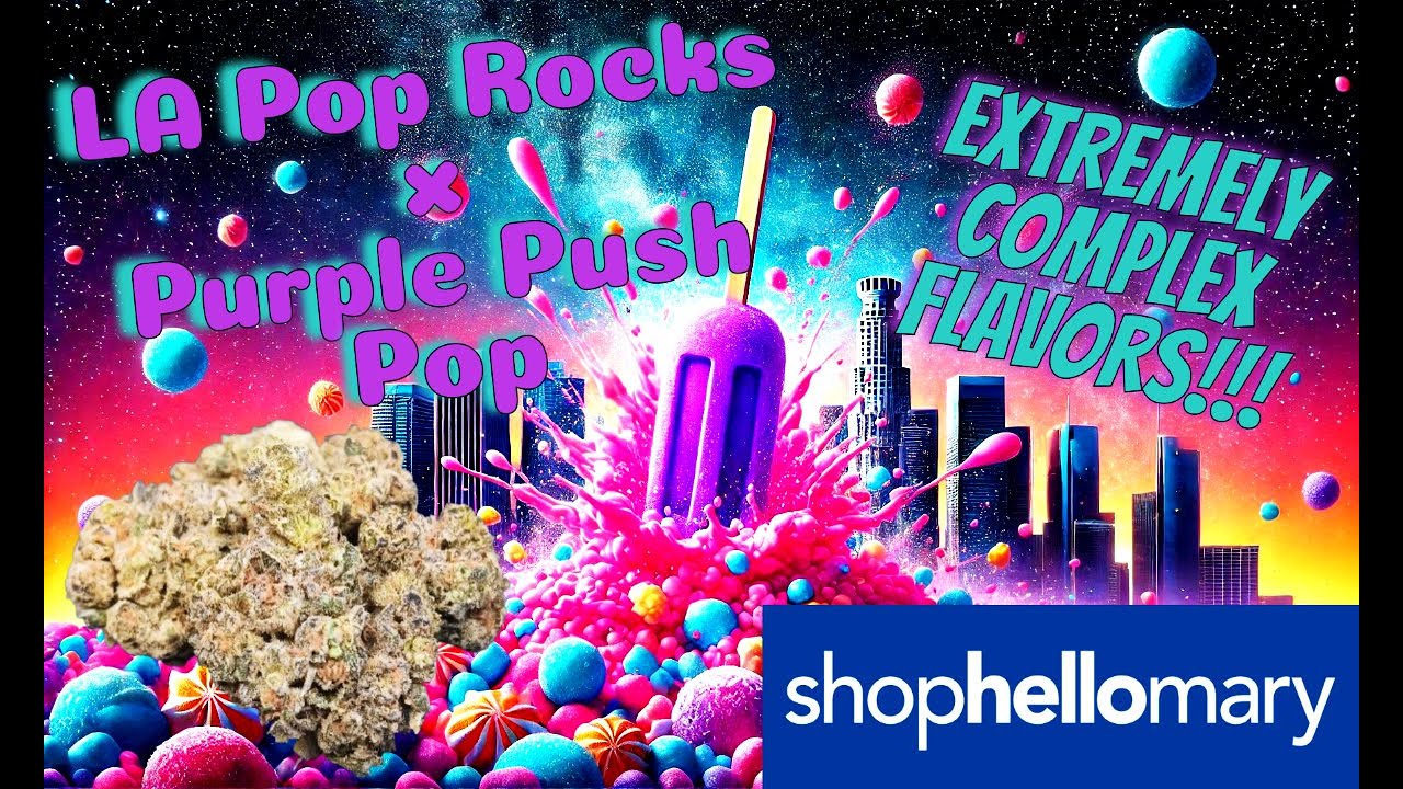 Trying ShopHelloMary LA Pop Rocks x Purple Push Pop THCa Flower - Two ...