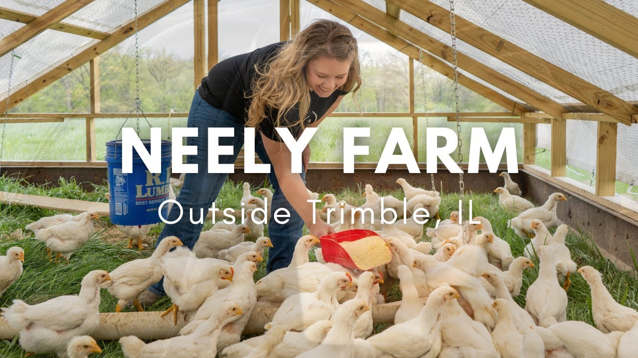 Neely Farm, Illinois - YouTube