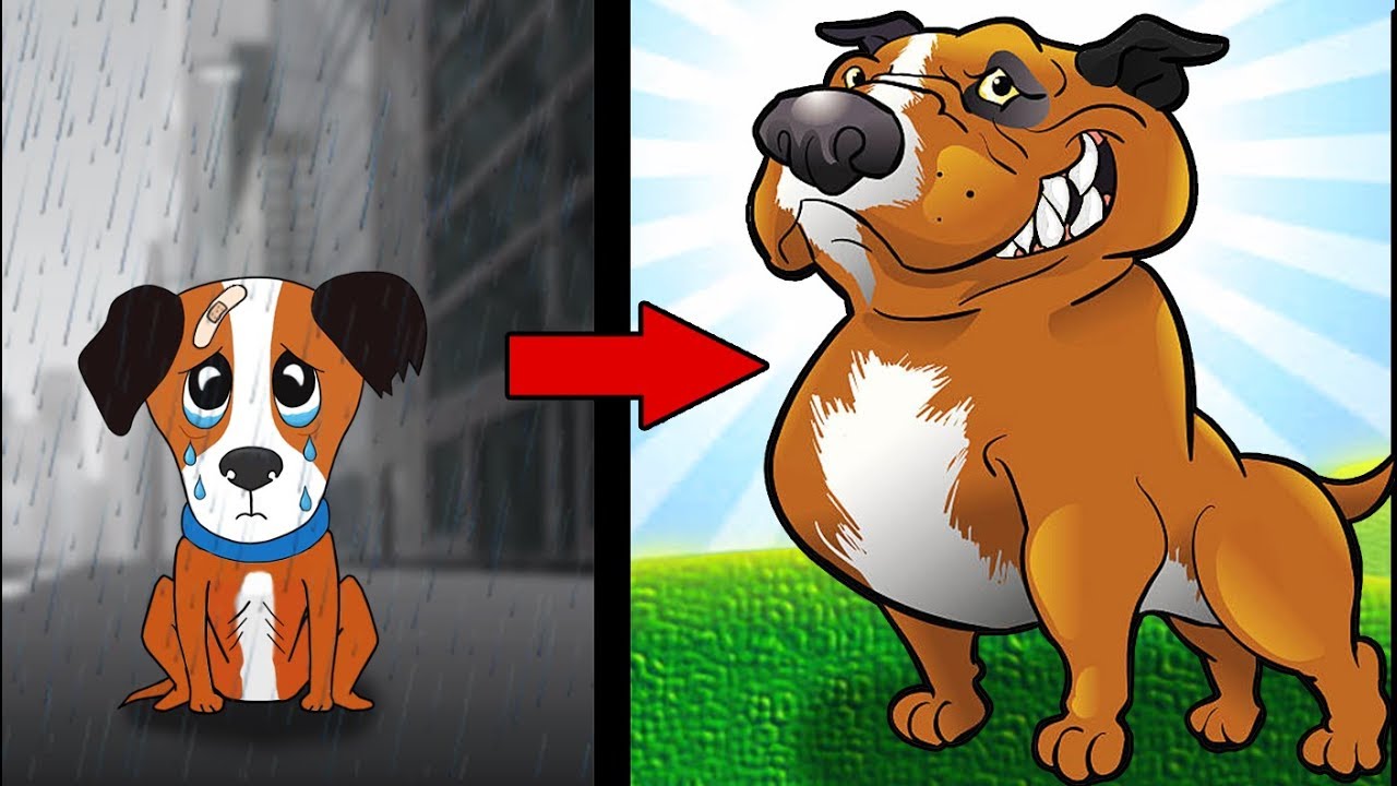 Easy Things To Teach Your Dog Part 2 YouTube Easy Things To Teach Your Dog Part 2 YouTube