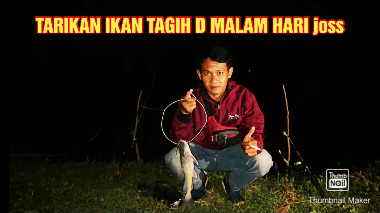 Mancing ikan tagih(baung)Sambil nunggu sahur - YouTube