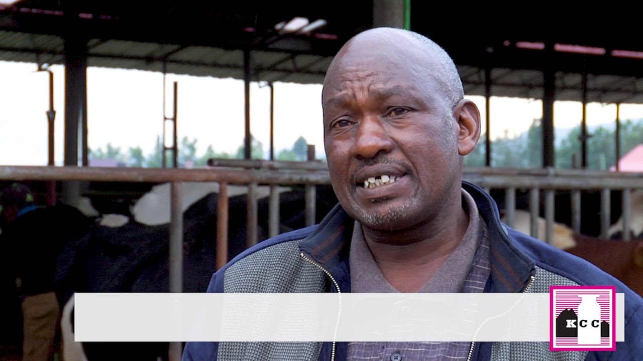 NEW KCC MODERNIZATION JOURNEY - FULL DOCUMENTARY - YouTube