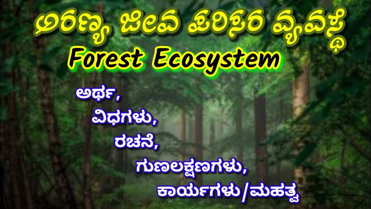 Forest Ecosystem | Meaning | Types | Structure | Characteristics ...