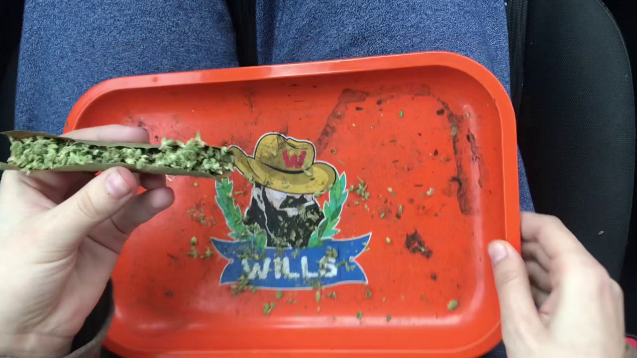 HOW TO ROLL THE PERFECT BLUNT ! (easy tutorial) - YouTube