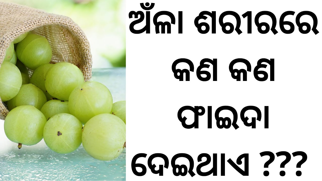 Amla Health Benefits In Odia | Amla Home Remedy | ଅଁଳା ଶରୀର ରେ କଣ କଣ ...
