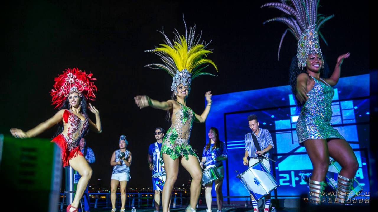공중퍼포먼스, 삼바카니발, 파이어댄싱 -한강몽땅축제 performance, Samba , fire-Dancing-반포한강공원 ...