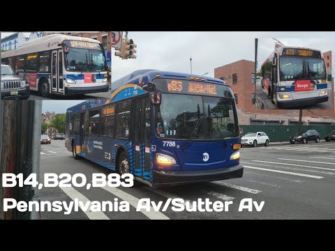 MTA B14,B20,B83 Bus Action @Pennsylvania Av/Sutter Av - YouTube