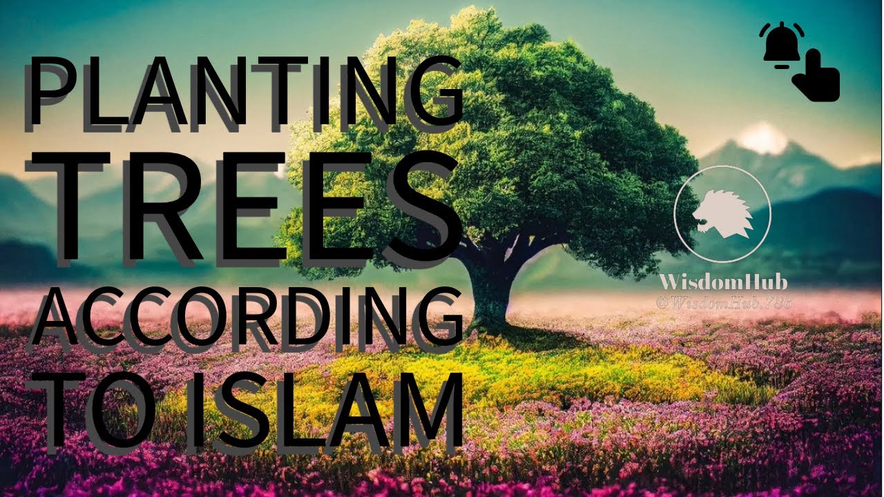 Planting Trees according to Islam | Sustainable Sadaqah - YouTube